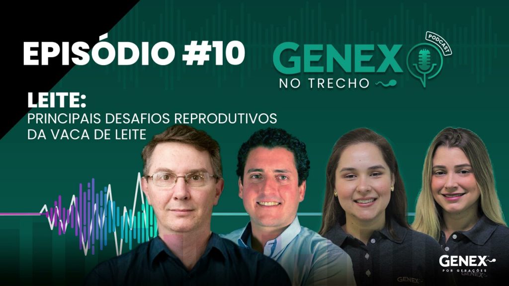 EPISÓDIO #10 | LEITE - PRINCIPAIS DESAFIOS REPRODUTIVOS DA VACA DE LEITE - Genex Brasil - Blog